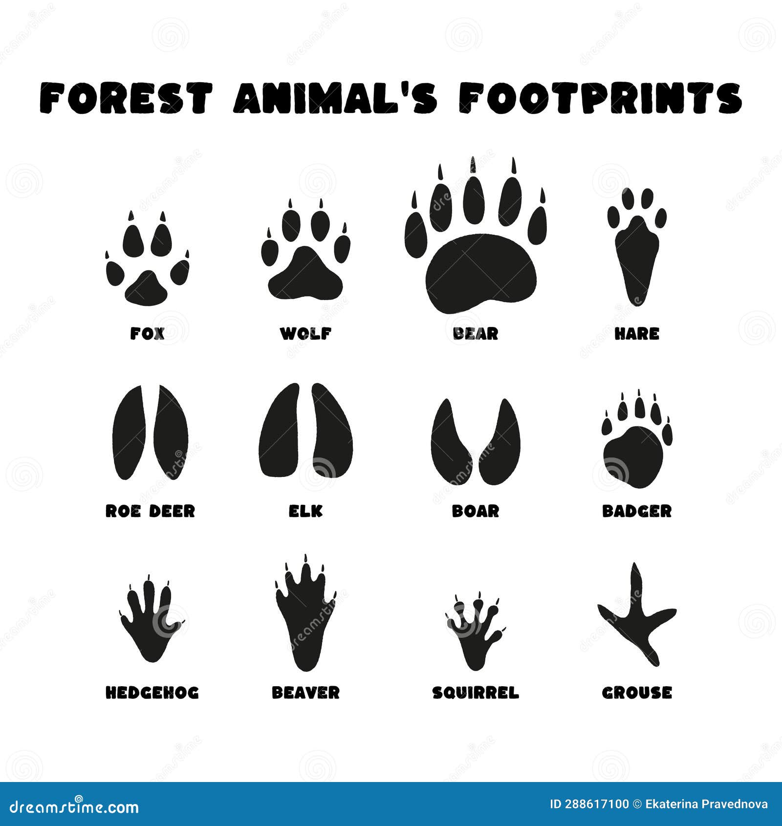 Animals Footprints. Animal Trails.Animal Feet Silhouette, Frog ...