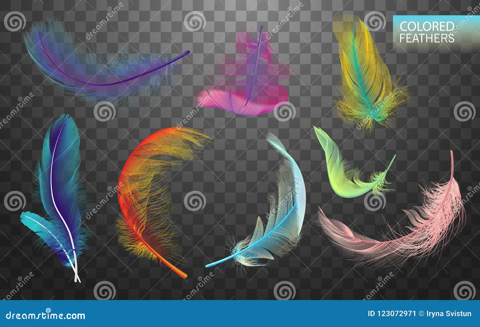 Set Of Isolated Falling Colored Fluffy Twirled Feathers On Transparent ...