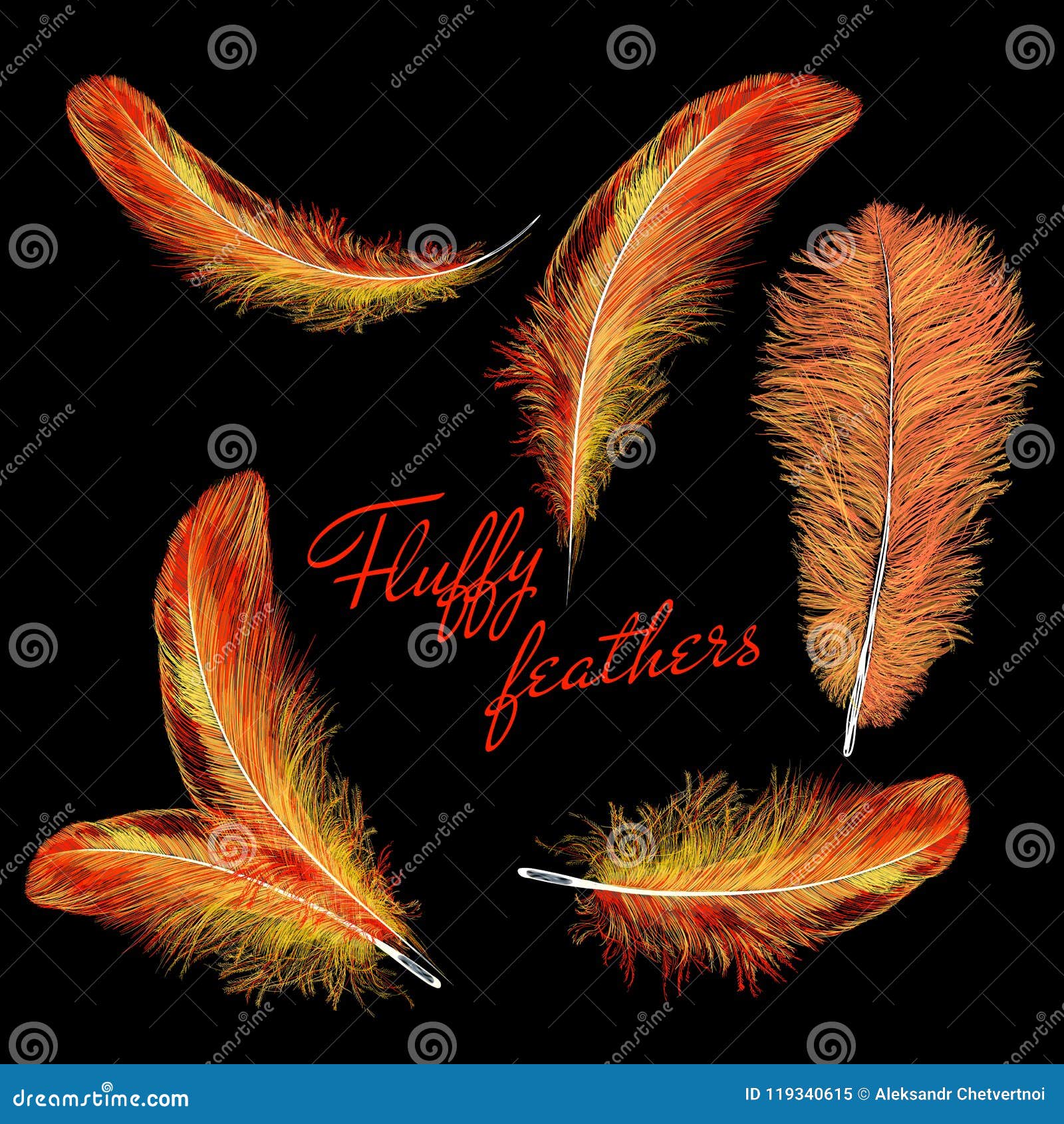 Fire Feathers Fire Bird Isolated on a Black Background. Easy Style, Can ...