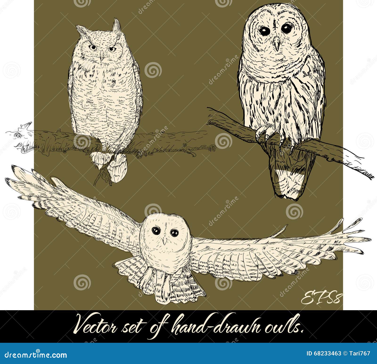 Set of Isolated Hand-drawn Owls 2. Stock Vector - Illustration of fauna ...