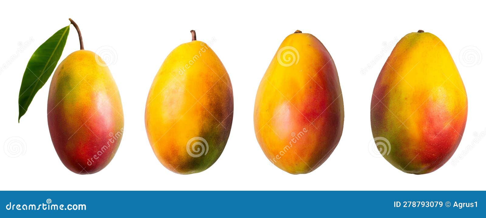 Set of Isolated Illustrations of Mango.Generative AI Stock Illustration ...