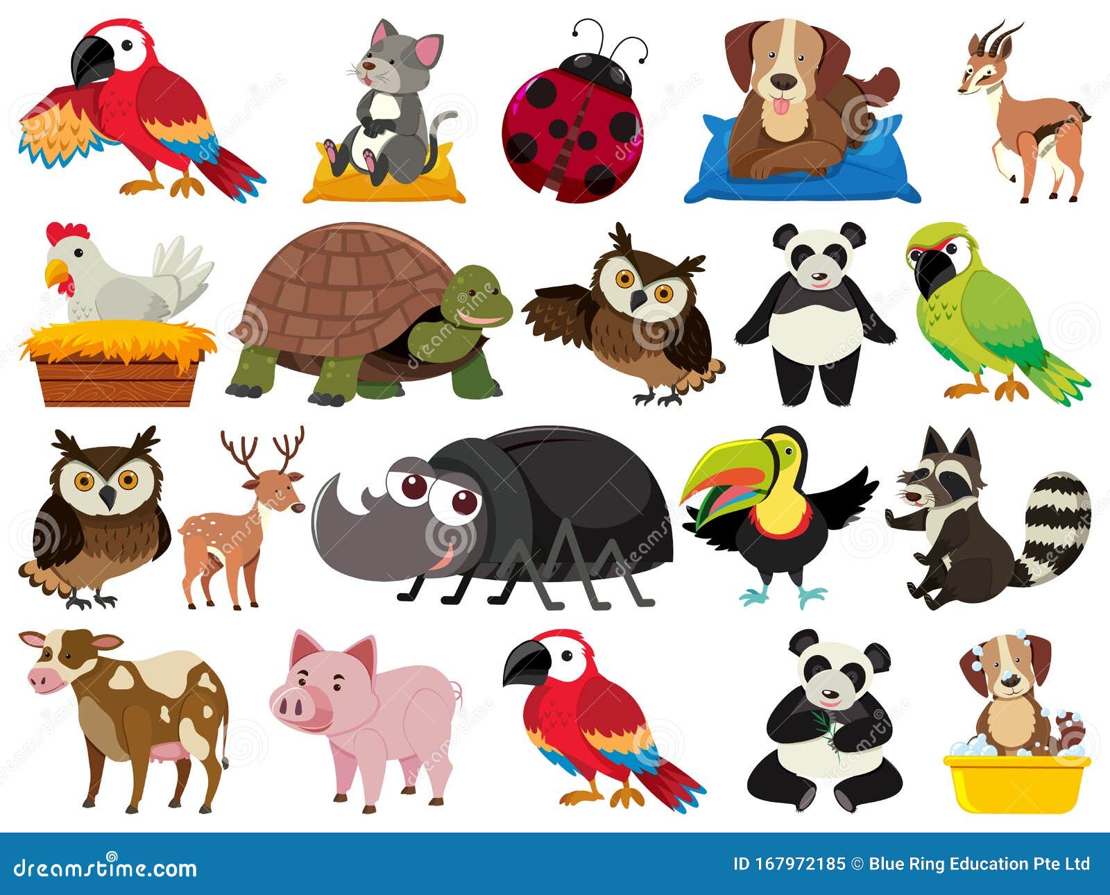 Set of Isolated Objects Theme Animals Stock Vector - Illustration of ...