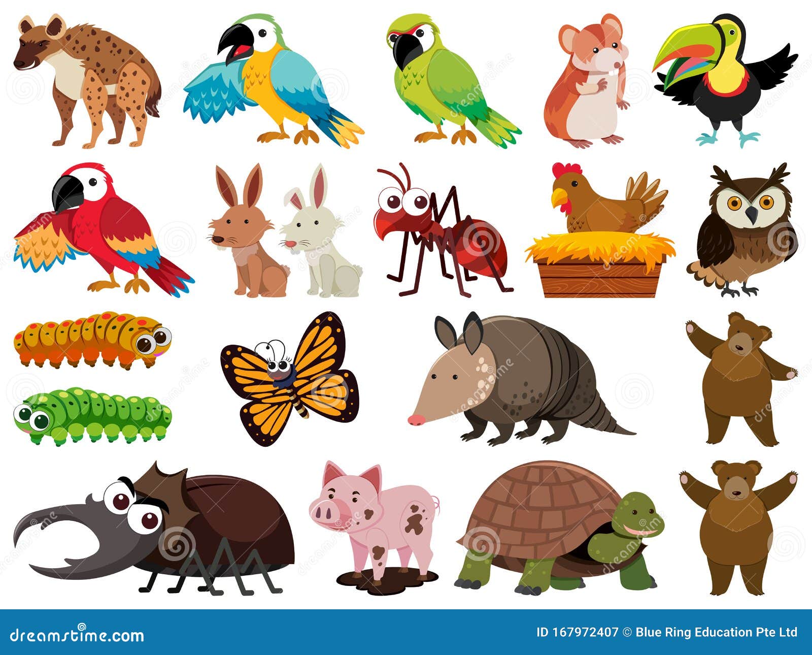Set of Isolated Objects Theme Animals Stock Vector - Illustration of ...