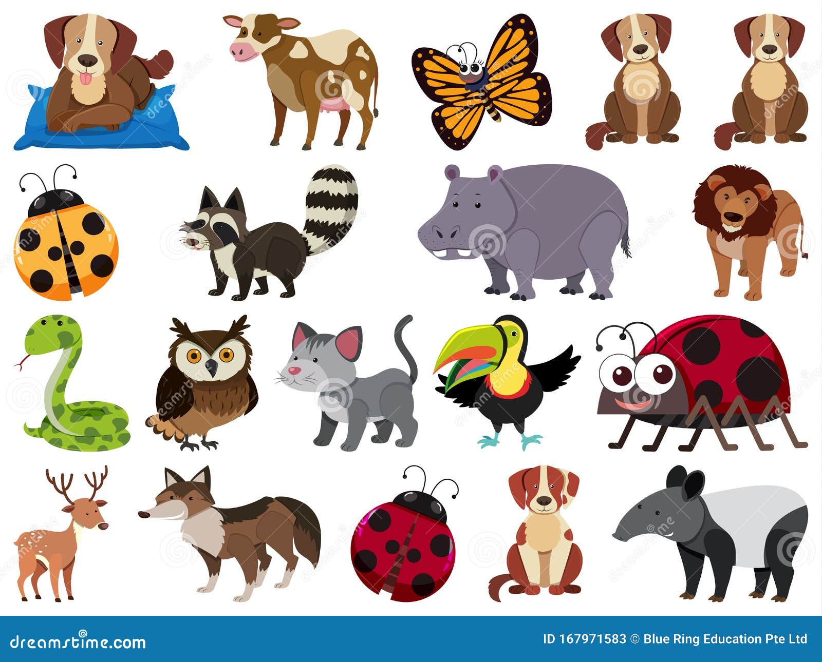 Set of Isolated Objects Theme Wild Animals Stock Vector - Illustration ...
