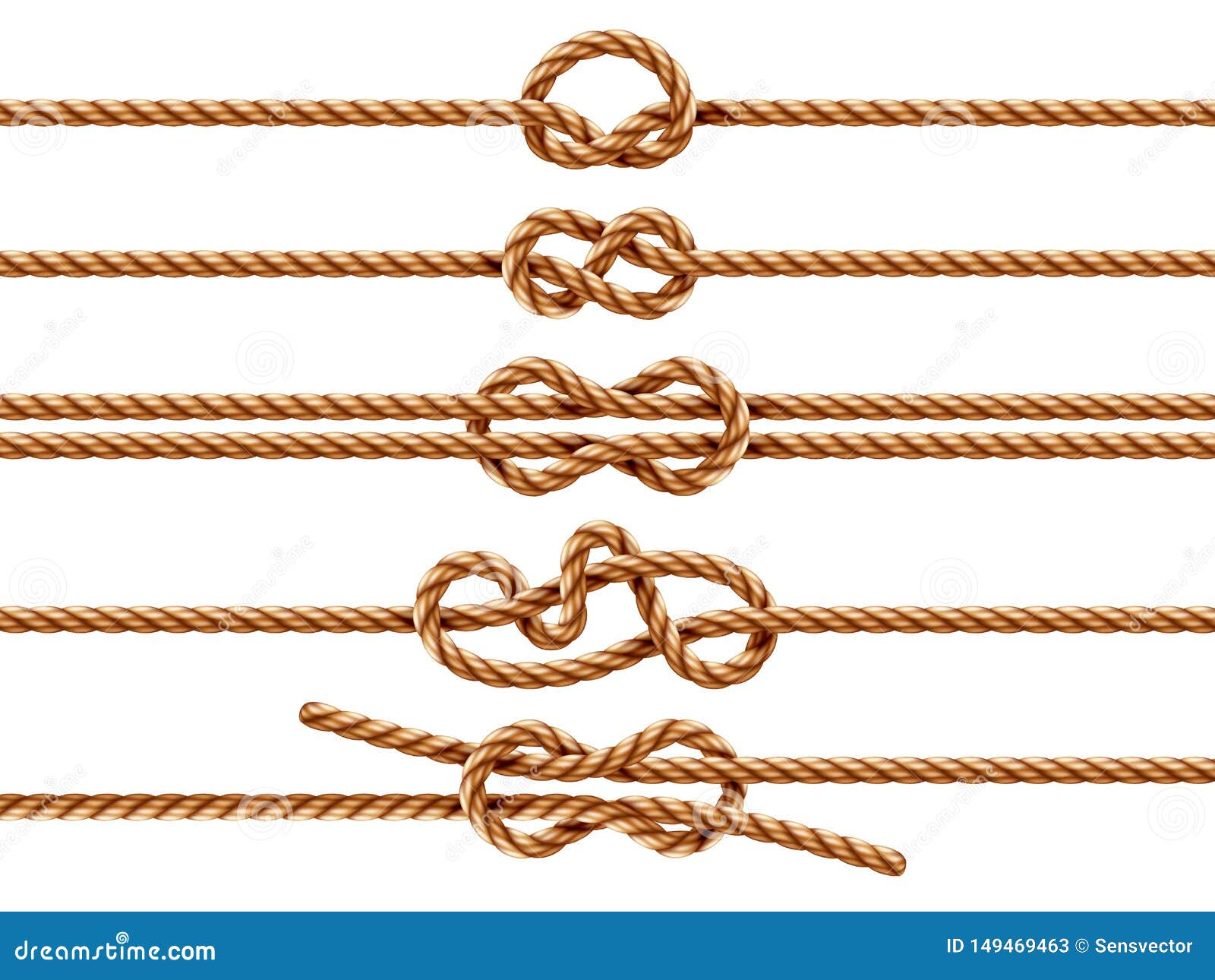 Set of Isolated Ropes with Different Knot Types Stock Vector ... Set of Isolated Ropes with Different Knot Types Stock Vector ...