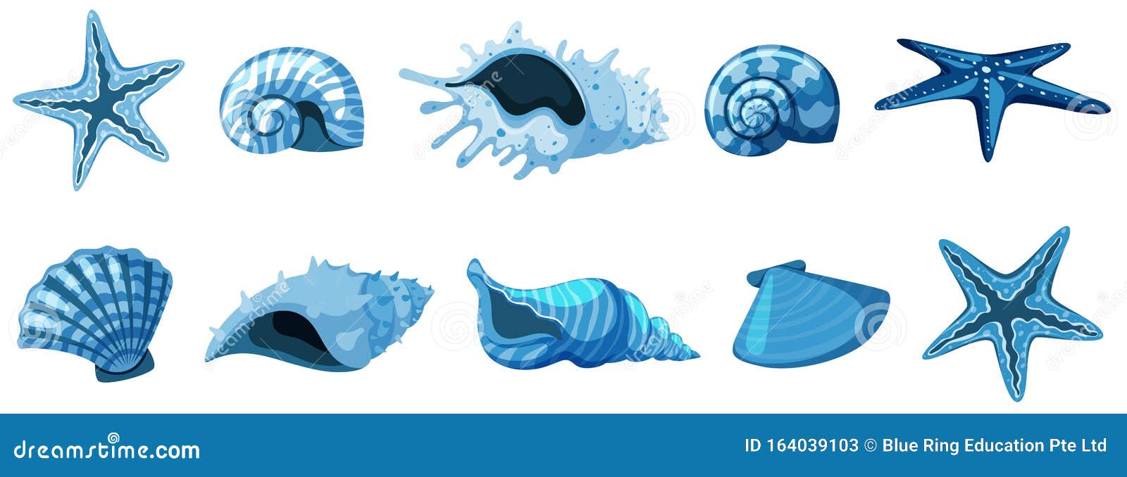 Set of Isolated Seashells in Blue Color Stock Vector - Illustration of ...