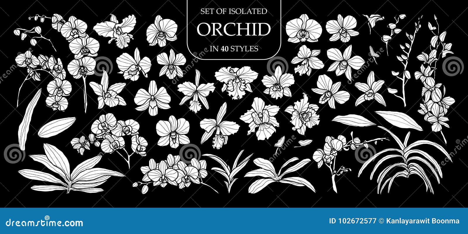 Set Of Isolated White Silhouette Orchid In 40 Styles Cute Hand Drawn