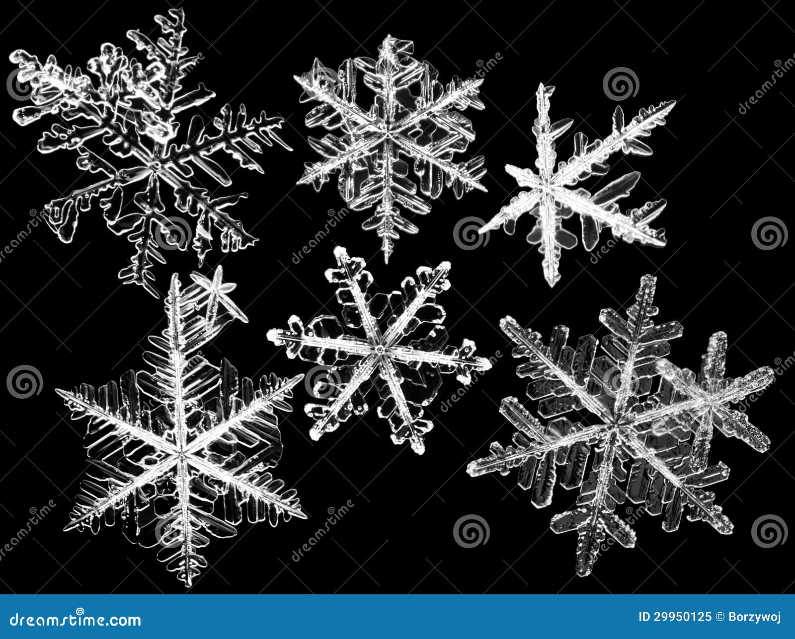 Snowflakes stock image. Image of decoration, flake, glitter - 29950125