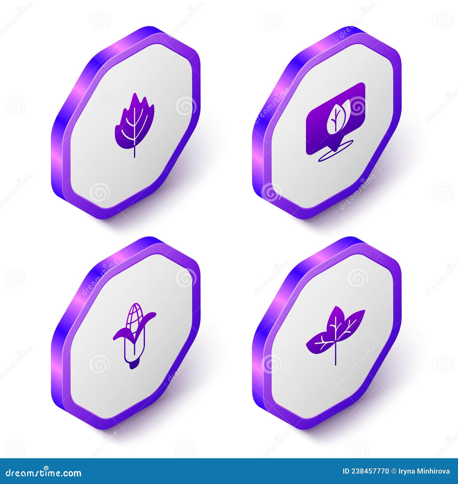 Set Isometric Leaf, Location with Leaf, Corn and Icon. Purple Hexagon ...