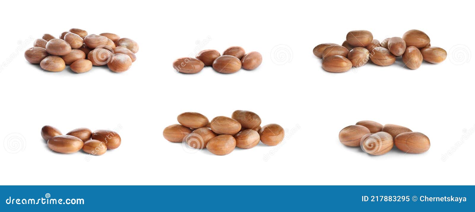 Set with Jackfruit Seeds on White Background. Banner Design Stock Image ...