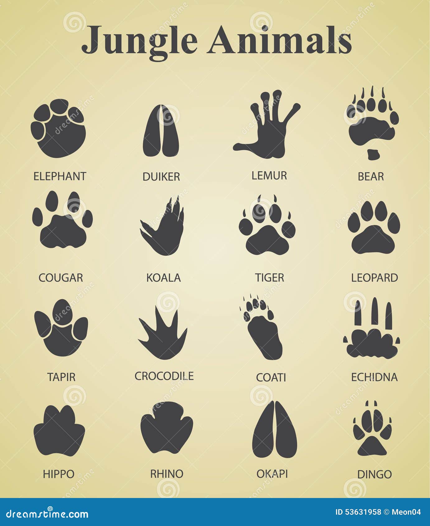 Set of Jungle Animal Tracks Stock Vector - Illustration of coati, foot ...