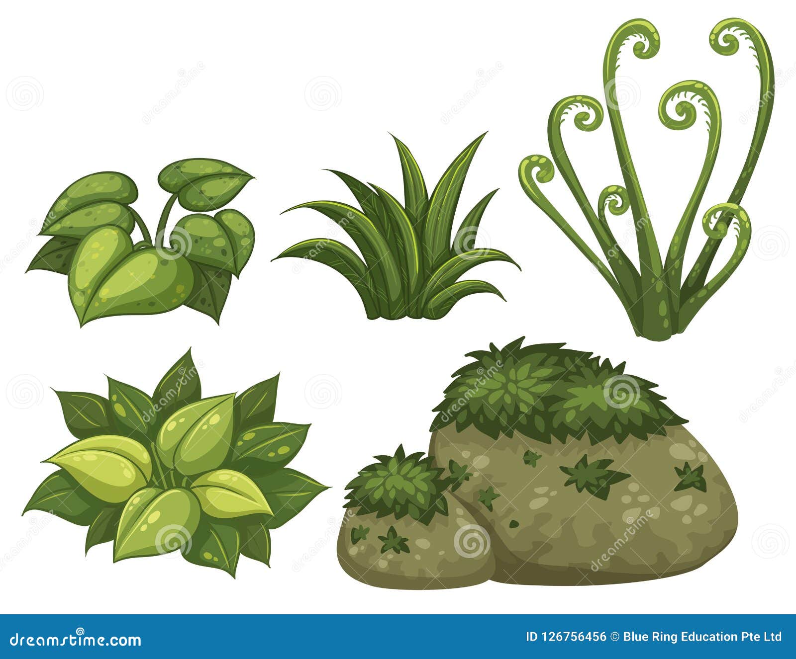 Set of jungle elements stock vector. Illustration of graphic - 126756456