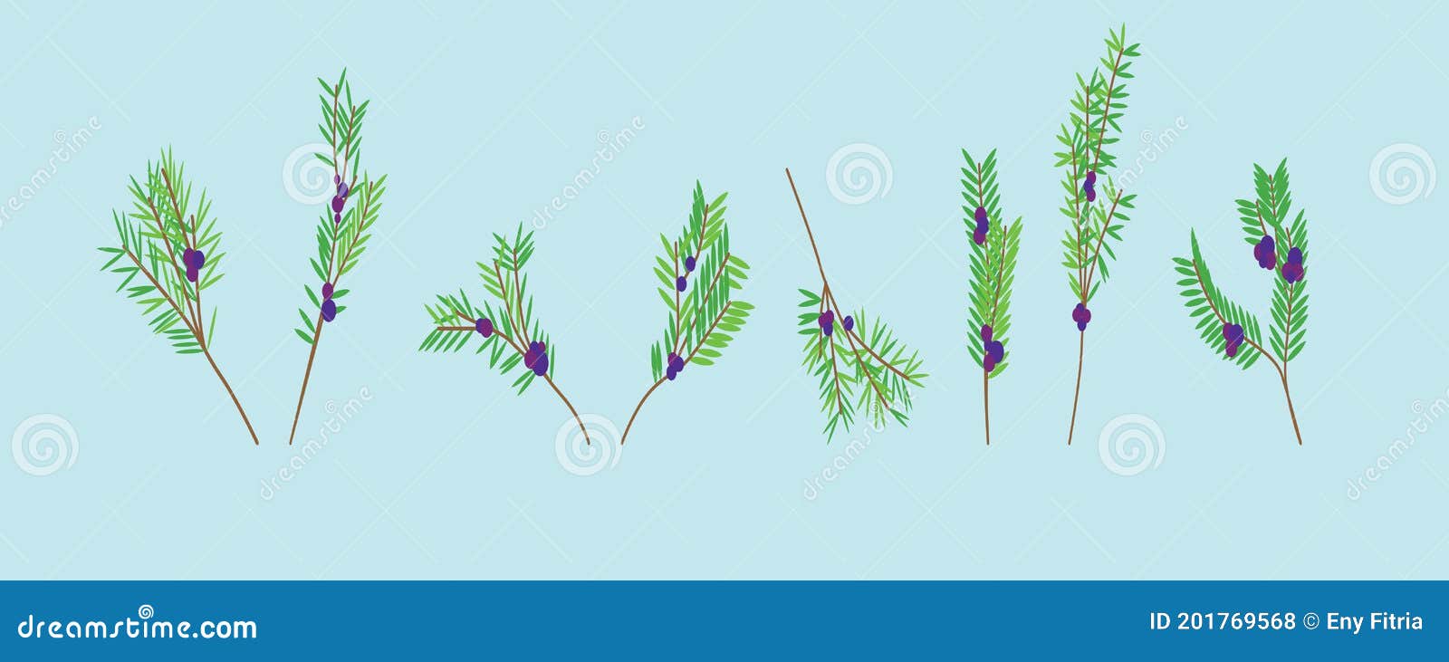 Set of Juniper. Cartoon Icon Design Template with Various Models ...