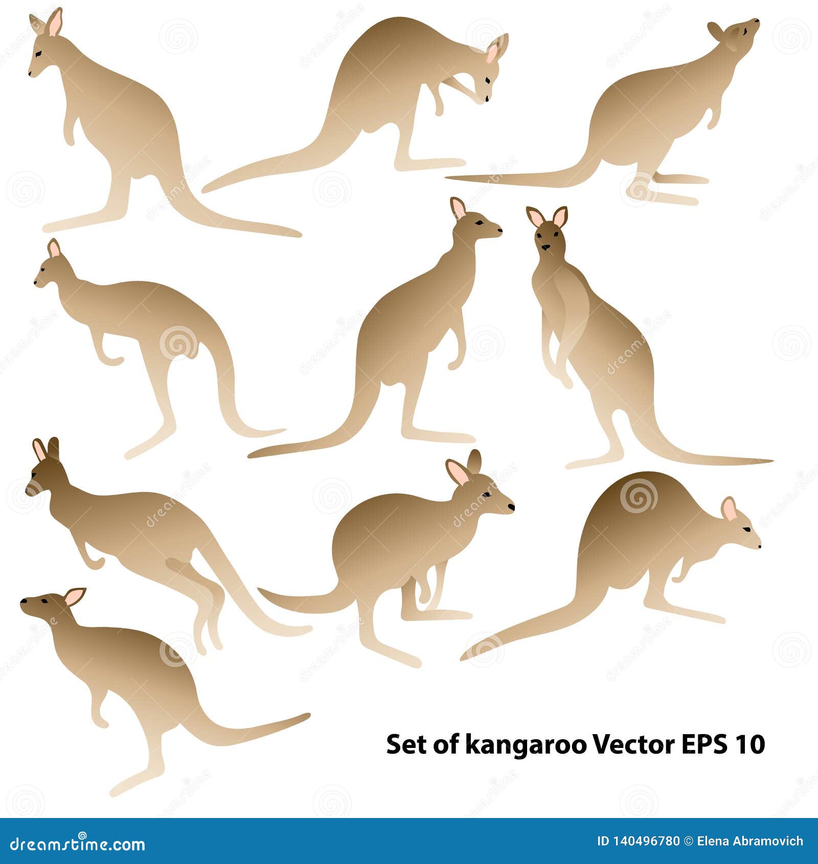 Set of Kangaroo Silhouettes in Various Postures Stock Vector ...