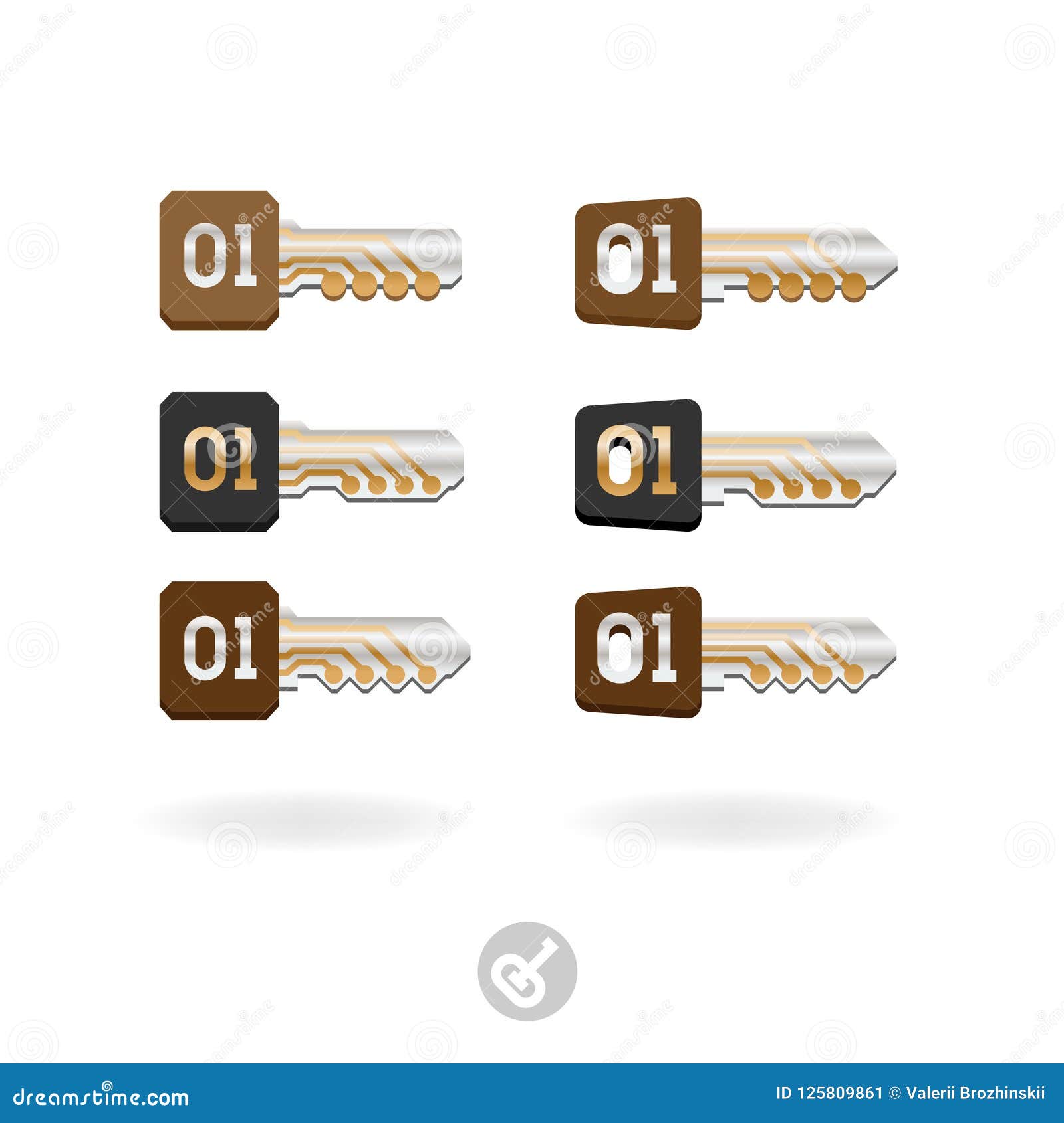 Set of Keys with Binary Code. Electronic Digital Security System Icon ...