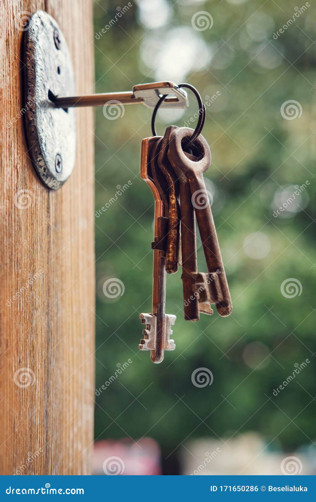 Set of Keys in the Keyhole, Blurry Green Nature Background Stock Photo ...