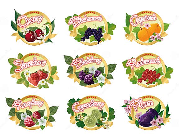 Set of Labels for Marmalade Stock Vector - Illustration of creative ...