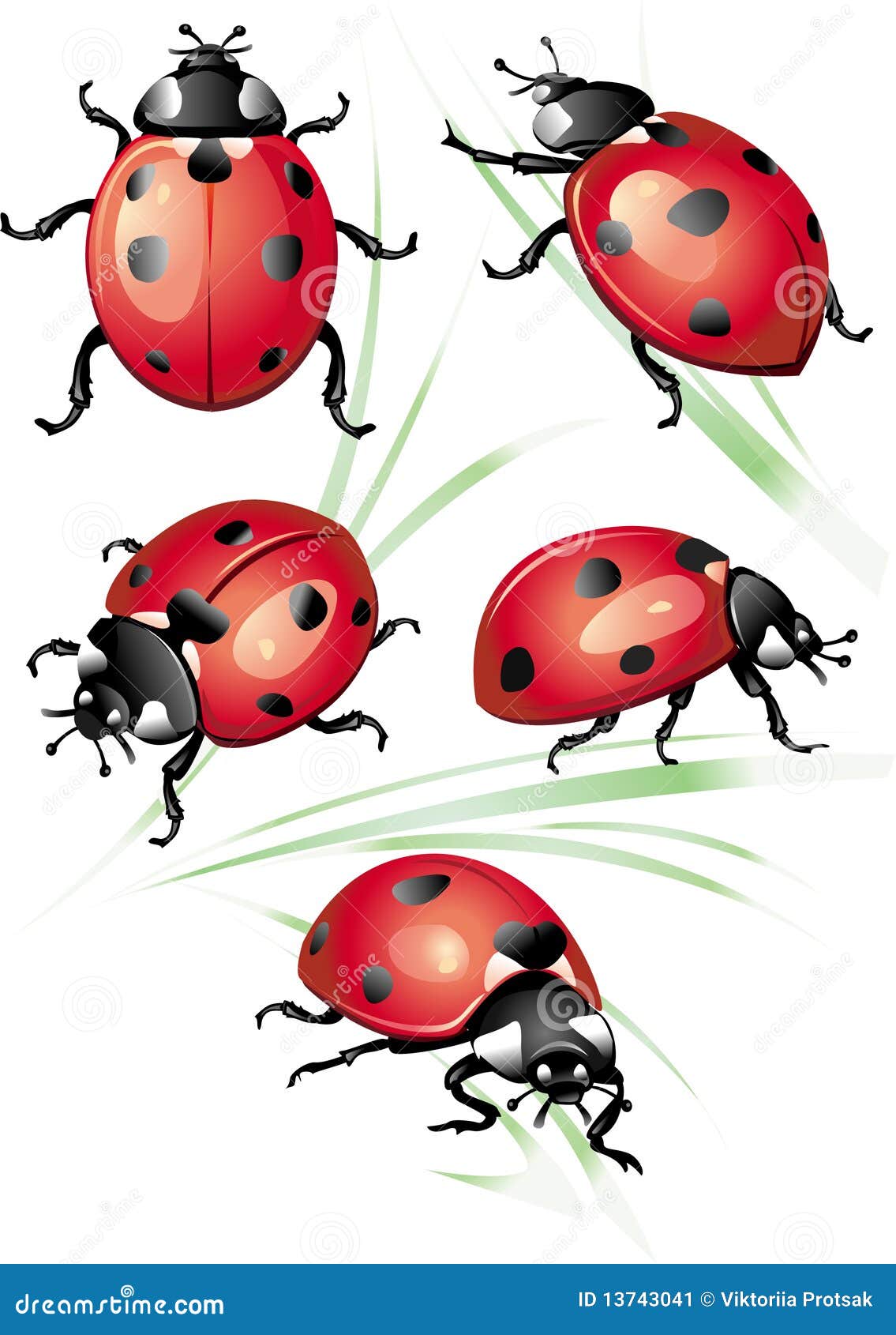 Set of ladybird stock vector. Illustration of orange - 13743041