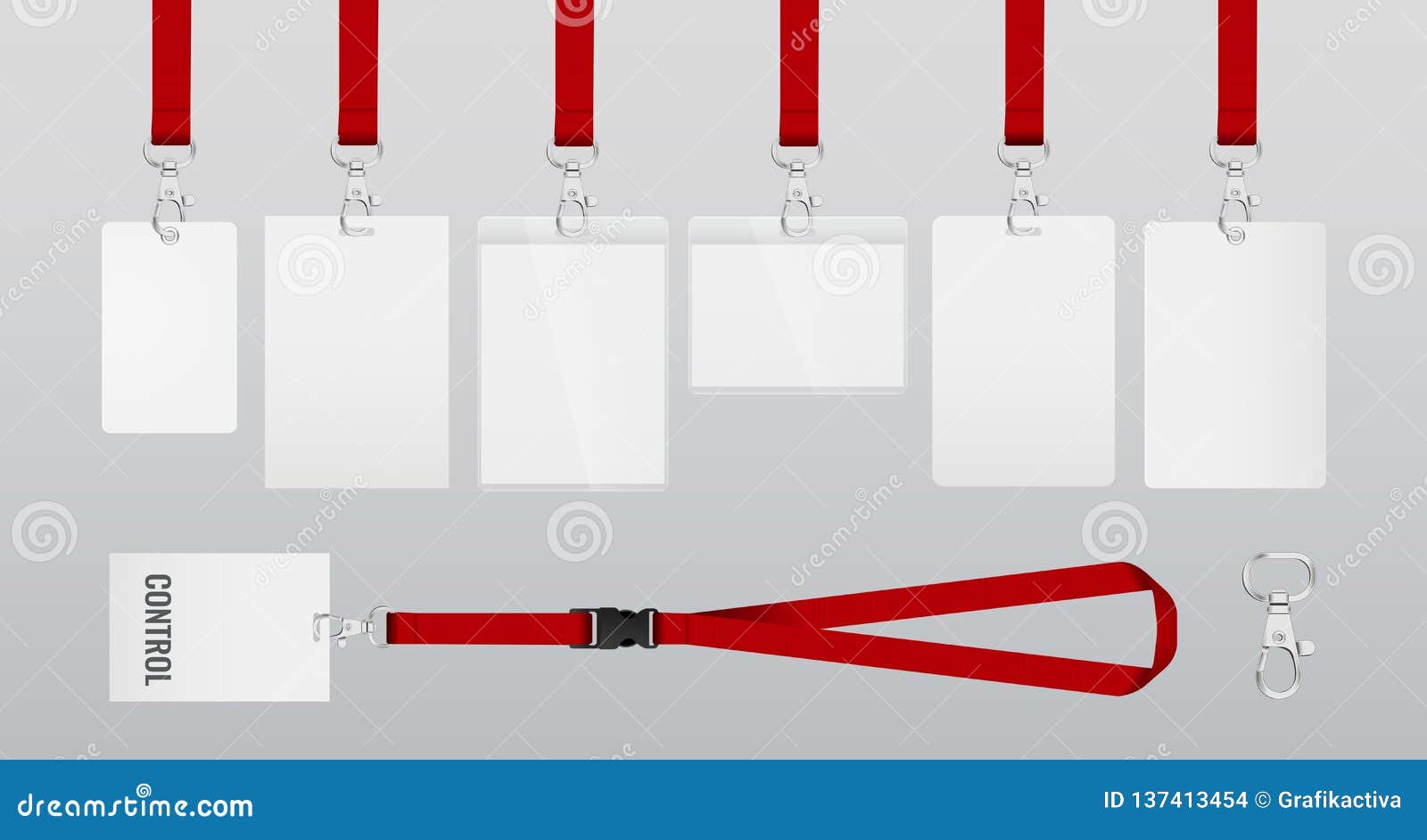 Set of Lanyards with Labels of Different Formats. Lanyards for Access ...