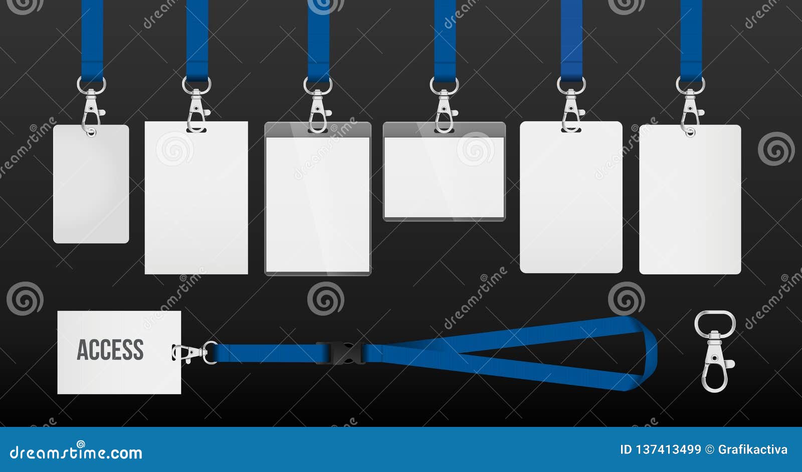 Set Of Lanyards With Labels Of Different Formats. Lanyards For Access ...