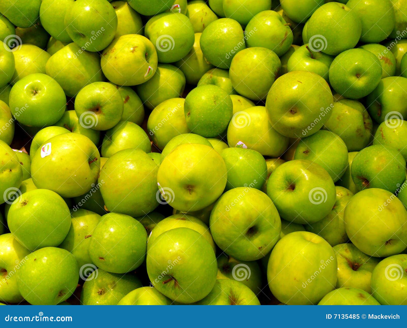 Set of large green apples stock image. Image of damage - 7135485