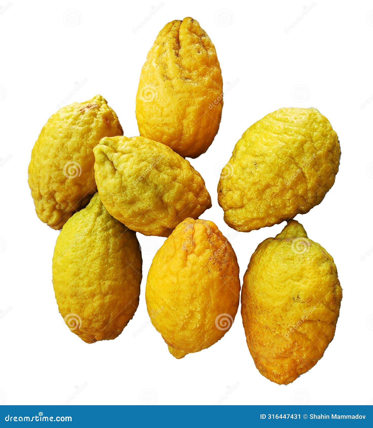 A Set Large Lemon with a Rough Texture Stands Out Against a Simple ...