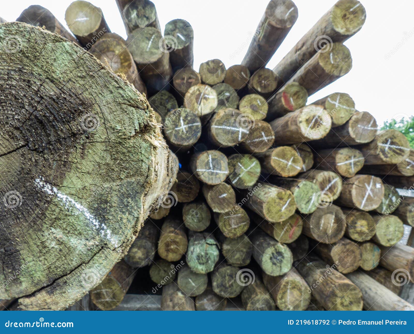 Set of Large Wooden Trunks Stacked in an Unorganized Manner Stock Photo ...