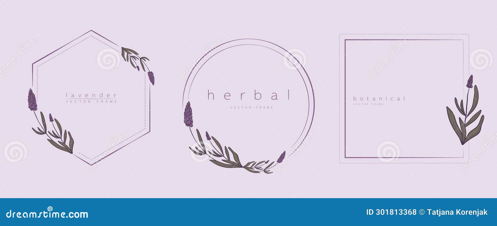 Set of Lavender Frame Templates in Minimal Linear Style Stock Vector ...