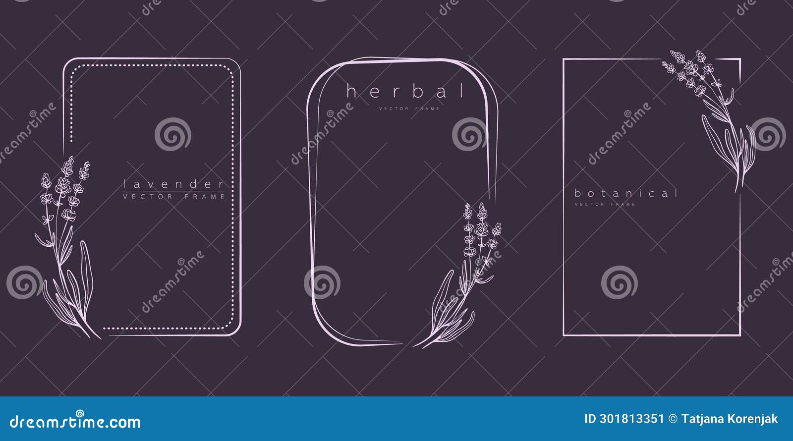 Set of Lavender Frame Templates in Minimal Linear Style Stock Vector ...