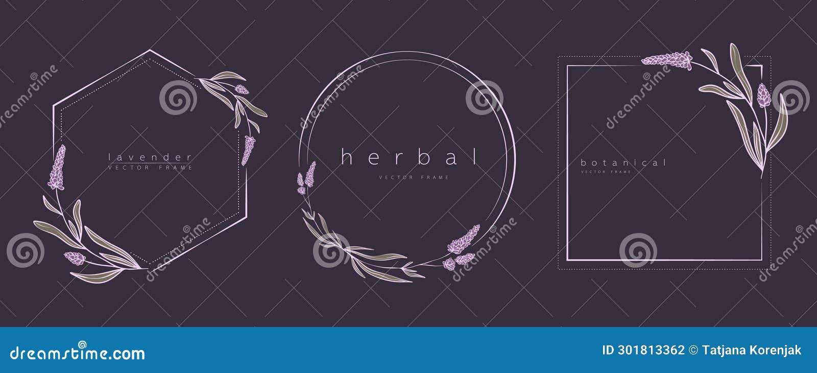Set of Lavender Frame Templates in Minimal Linear Style Stock Vector ...