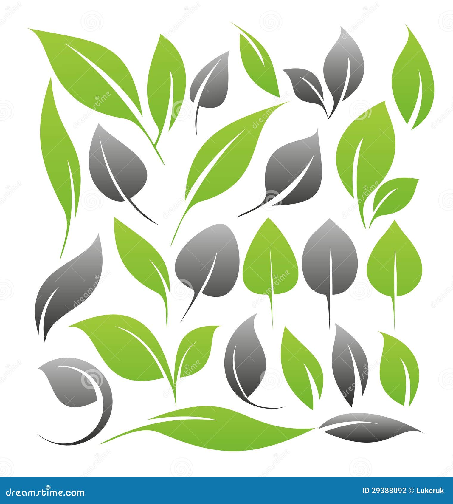Set of Leaf Design Elements Stock Vector - Illustration of green ...