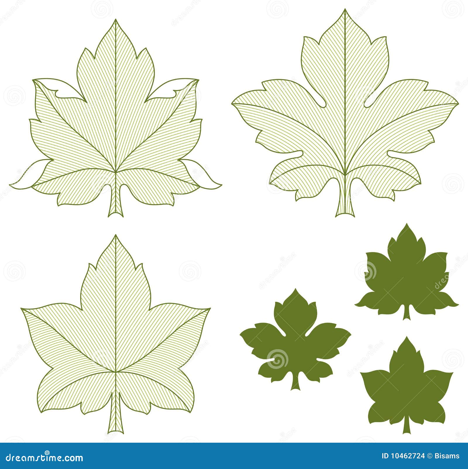 Set of leaves stock vector. Illustration of line, modern - 10462724