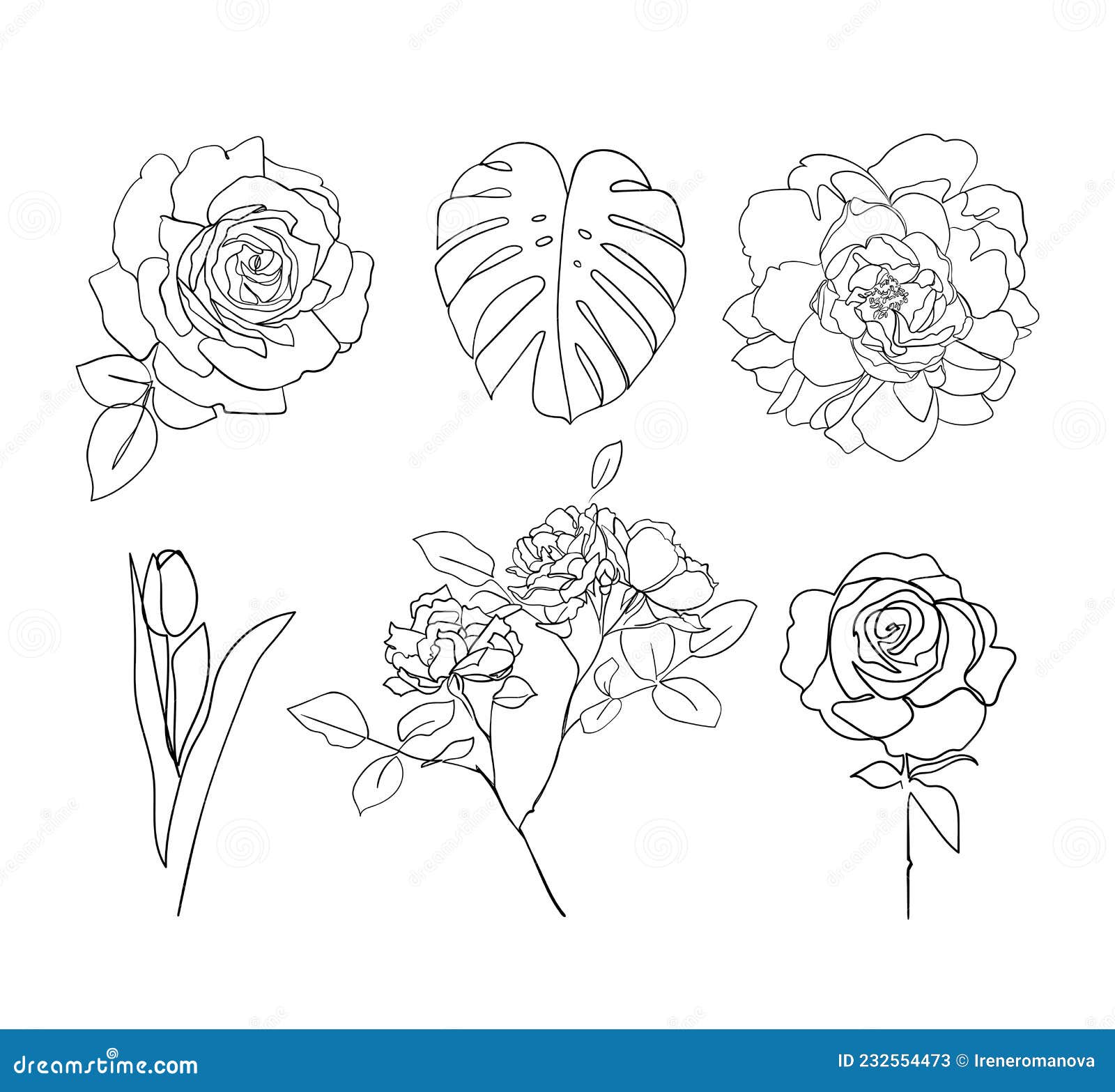 Set of Leaves and Flowers Line Art Drawing. Stock Vector - Illustration ...