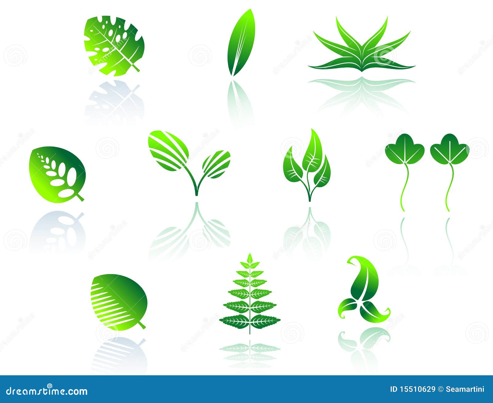 Set of leaves icons stock vector. Illustration of element - 15510629