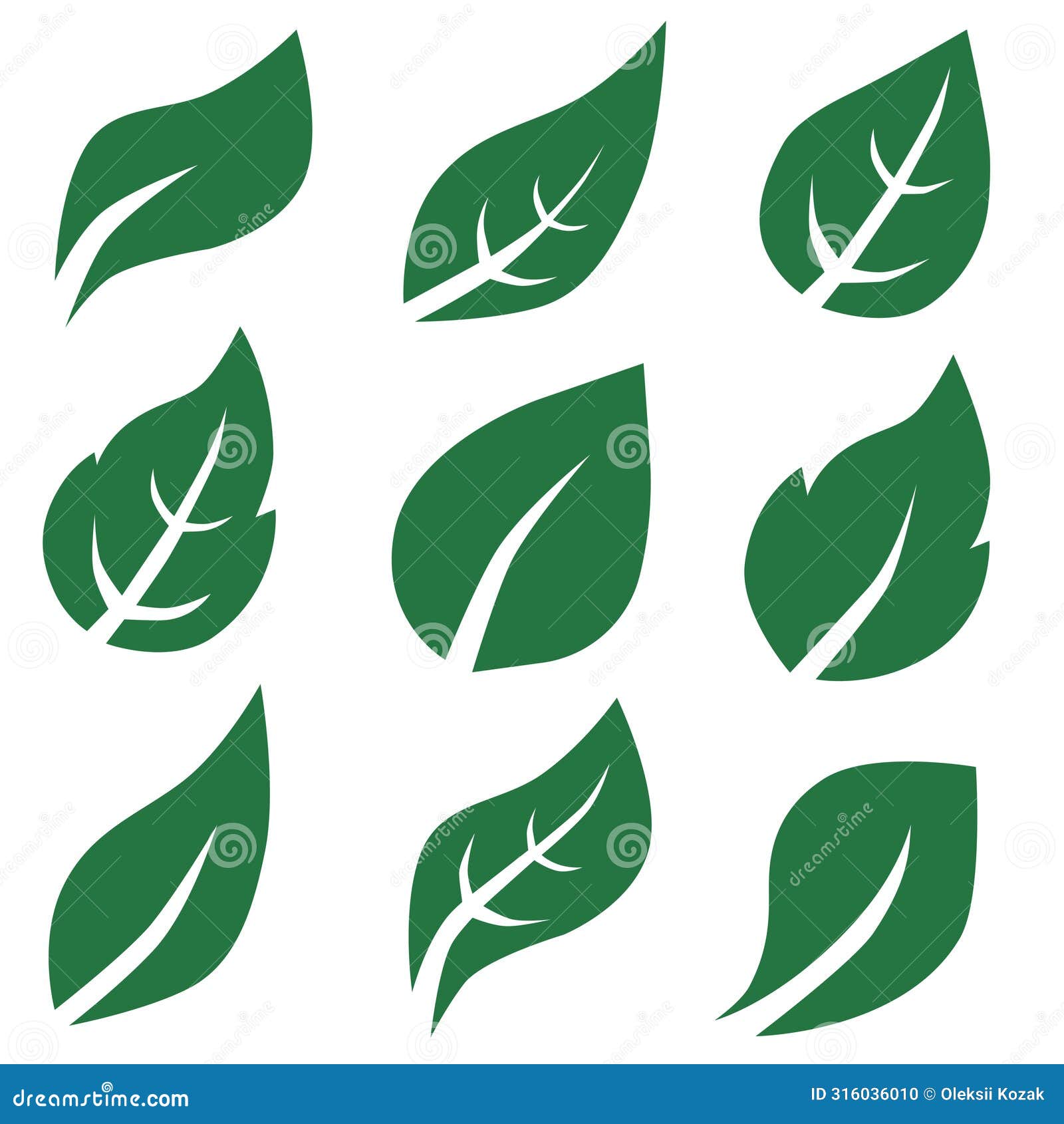 Set of Leaves Isolated on White Background. Simple Cartoon, Flat Style ...