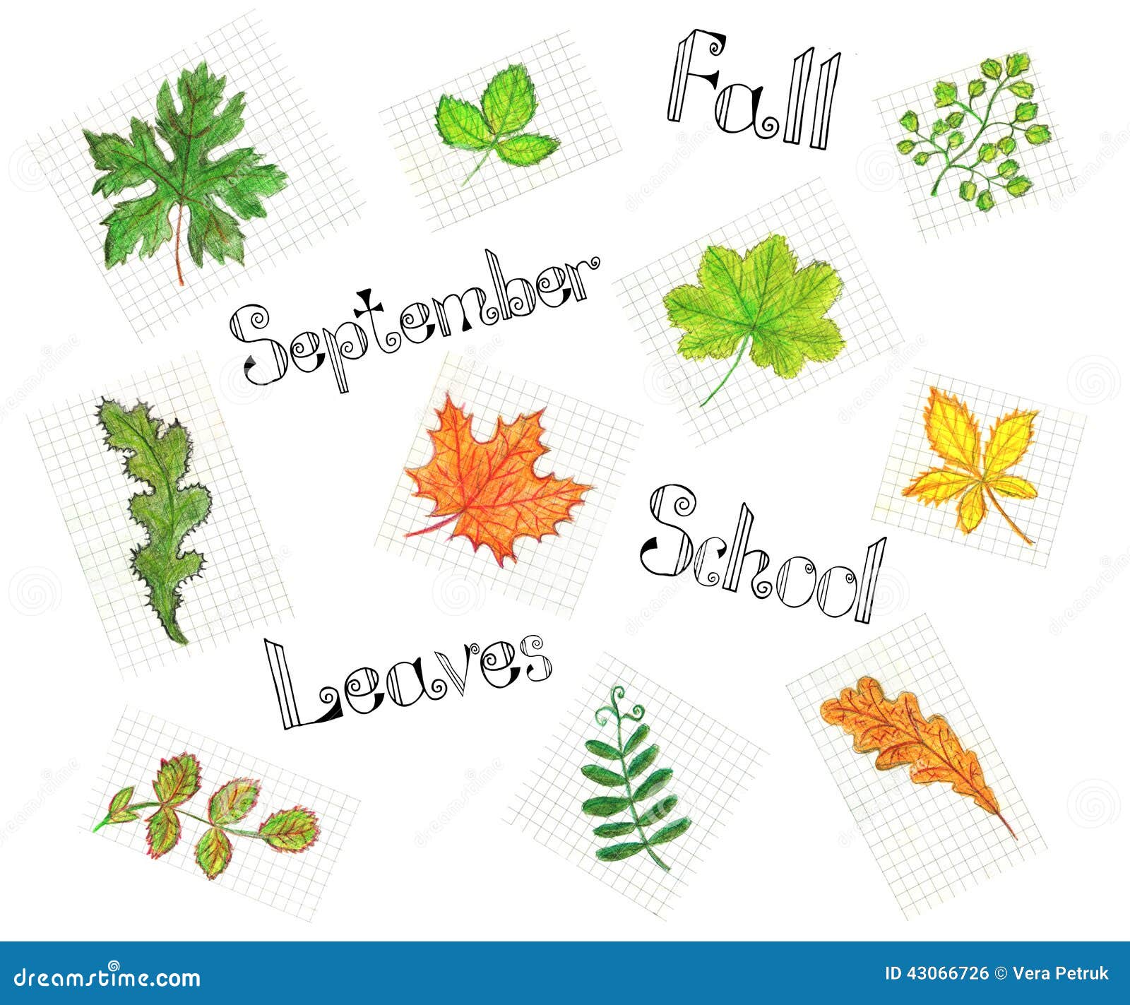 Set with leaves and text stock illustration. Illustration of fall ...