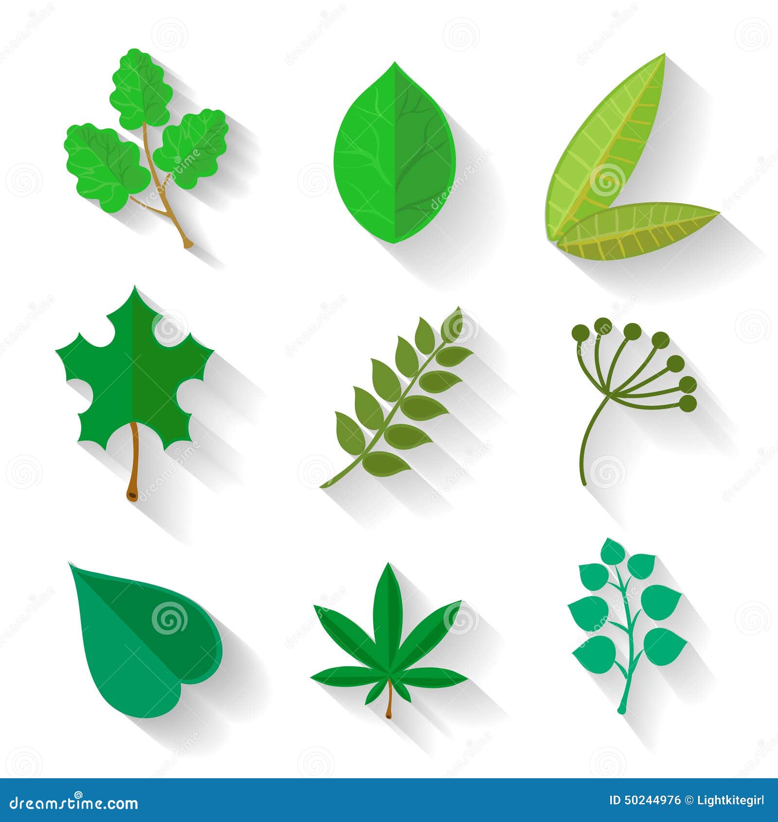 Set of Leaves Various Trees. Isolated Green Leave Stock Vector ...