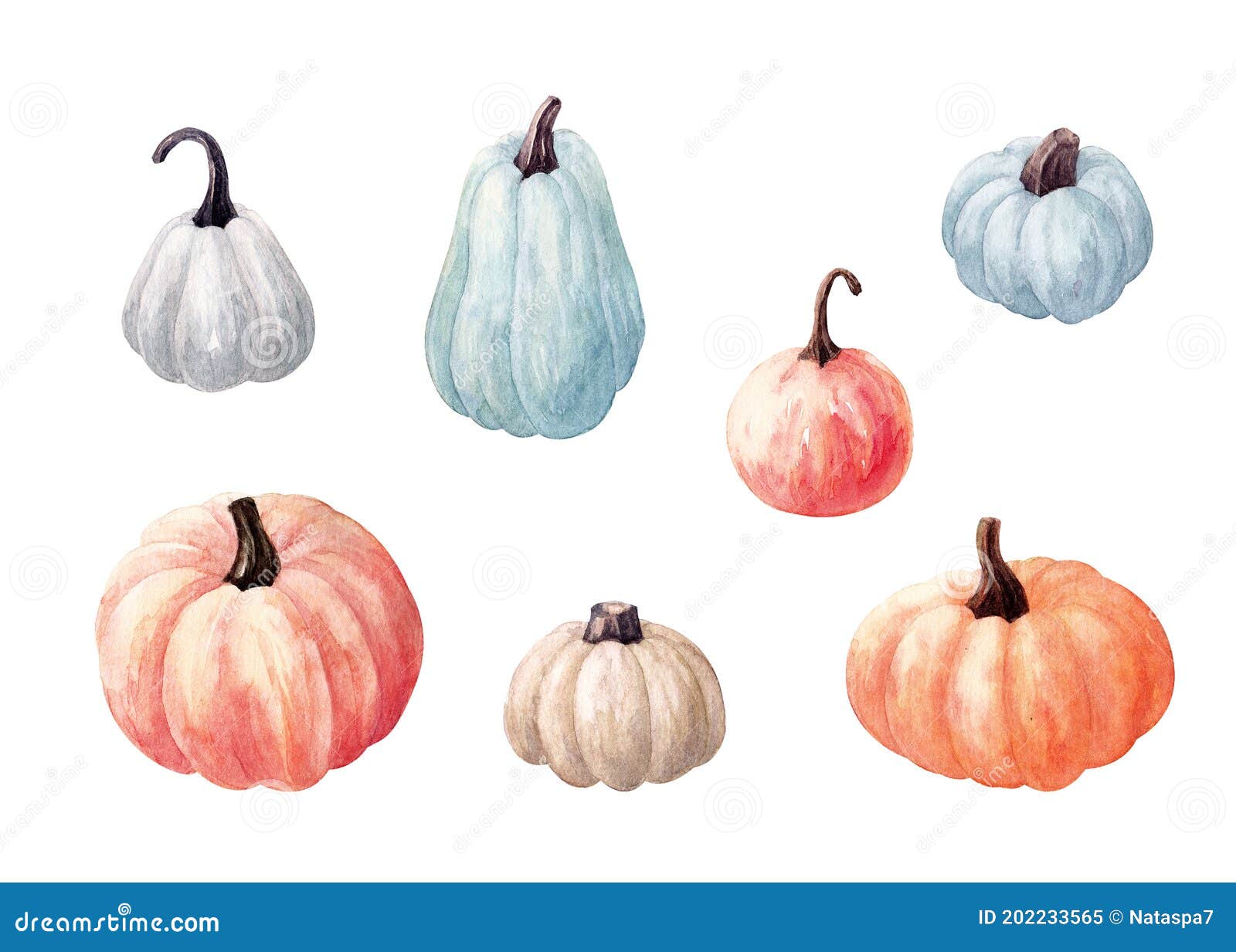 Set of Light Colored Pumpkins. Watercolor Illustration Isolated on ...