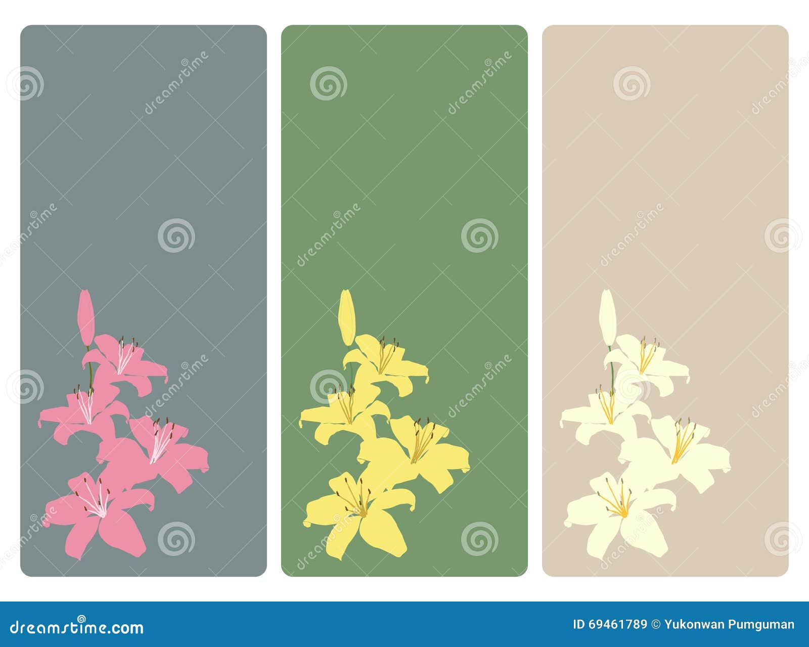 Set of Lily Flower, Tag or Label, Vector Stock Vector - Illustration of ...