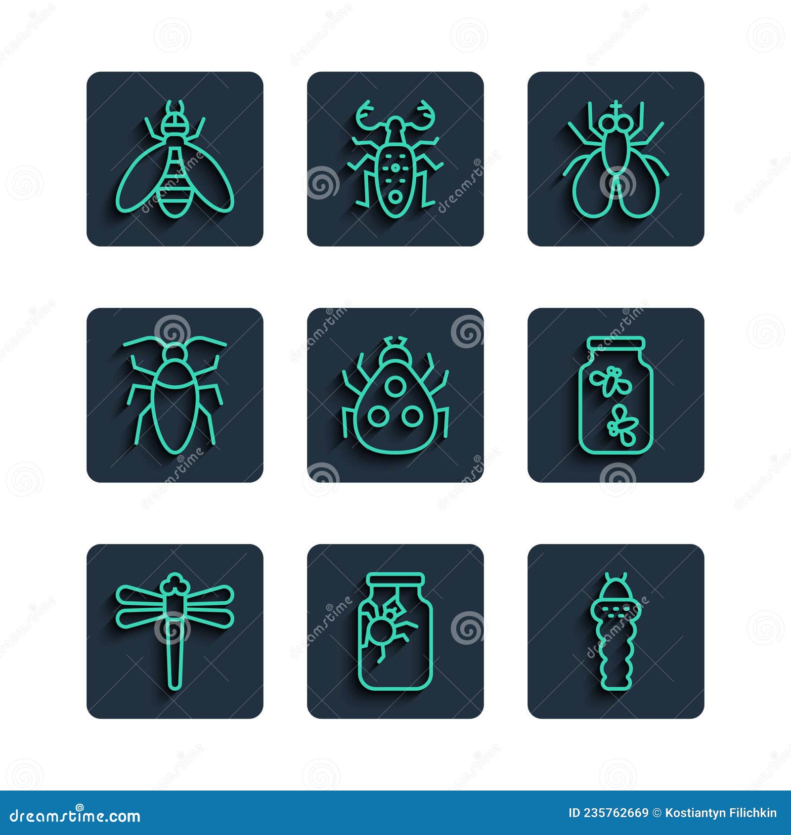 Set Line Dragonfly, Spider in Jar, Larva Insect, Insect, Ladybug ...