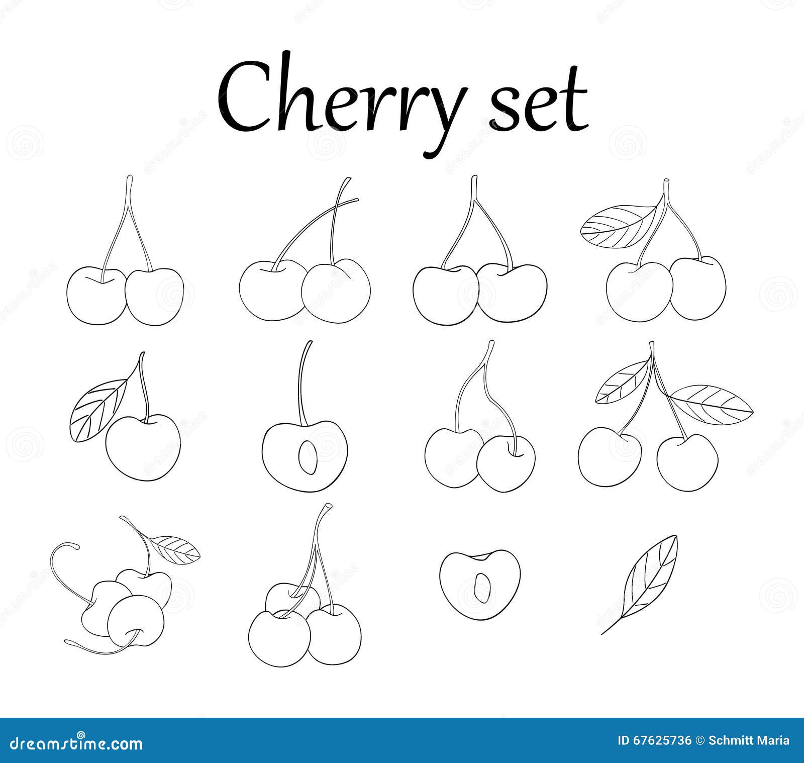 Set of line drawing cherry stock vector. Illustration of drawing - 67625736