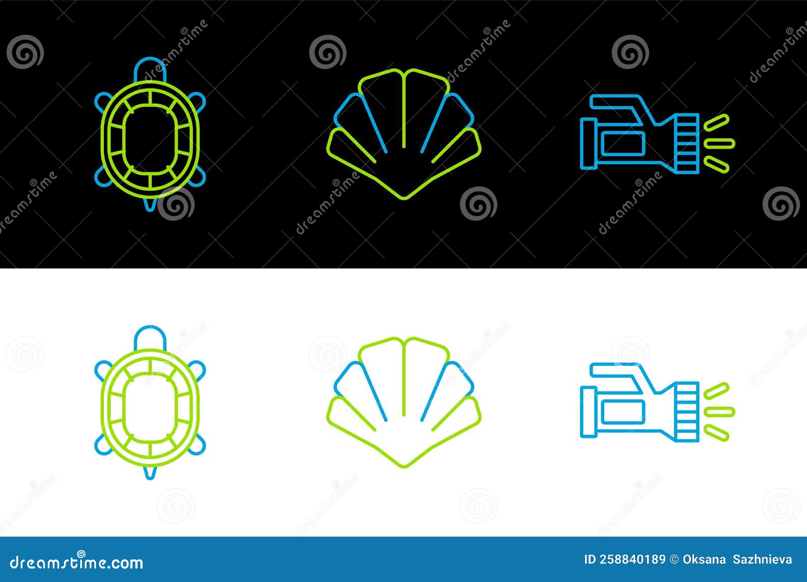 Set Line Flashlight, Turtle and Scallop Sea Shell Icon. Vector Stock ...