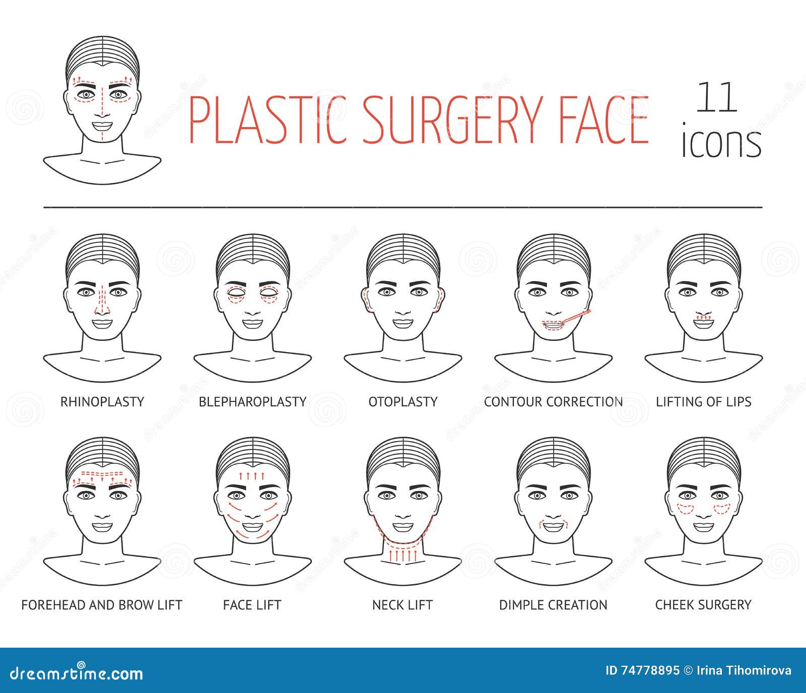 Plastic Surgery Face Template