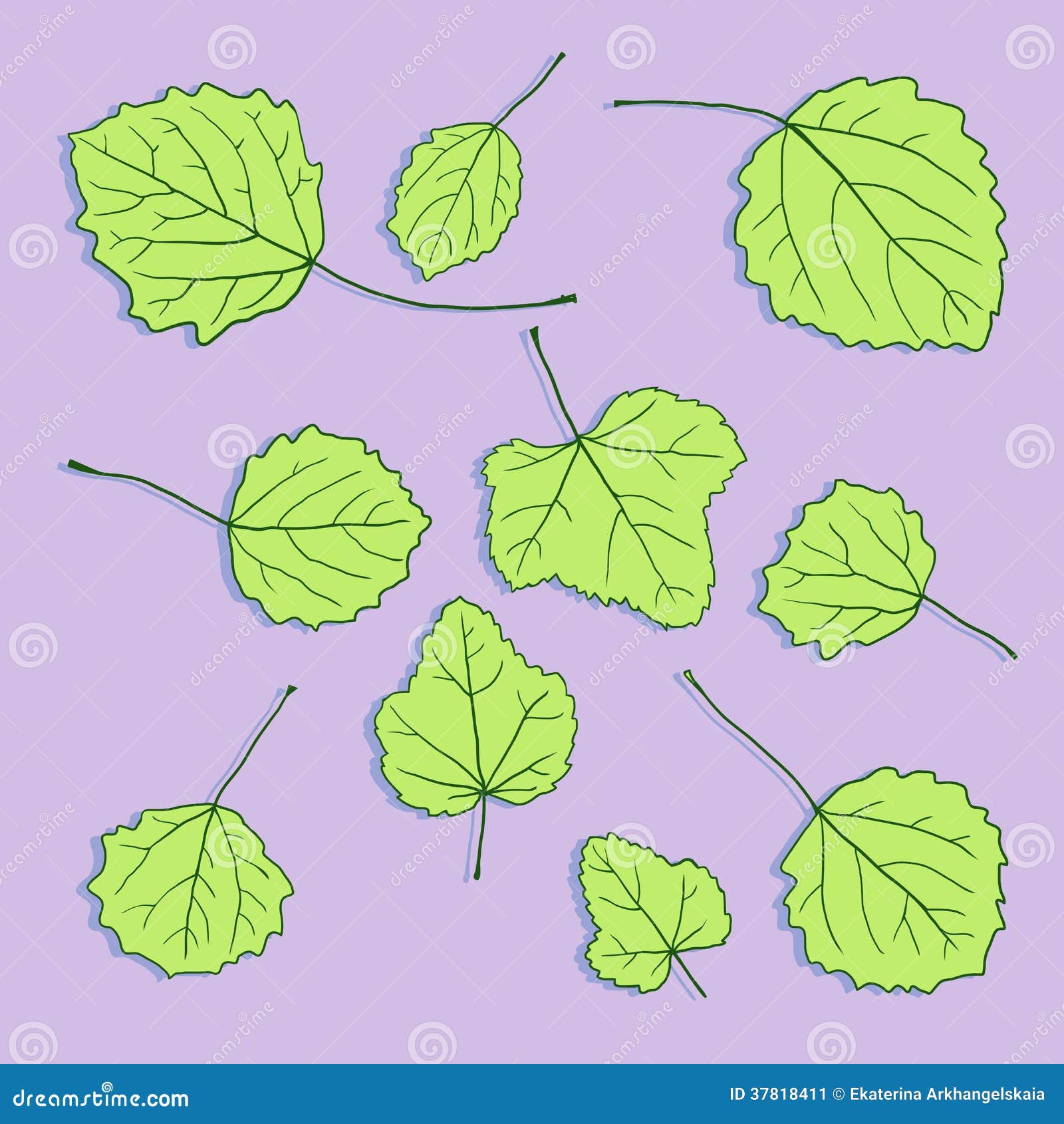 Set of Linear Drawing Leaves Stock Vector - Illustration of isolated ...