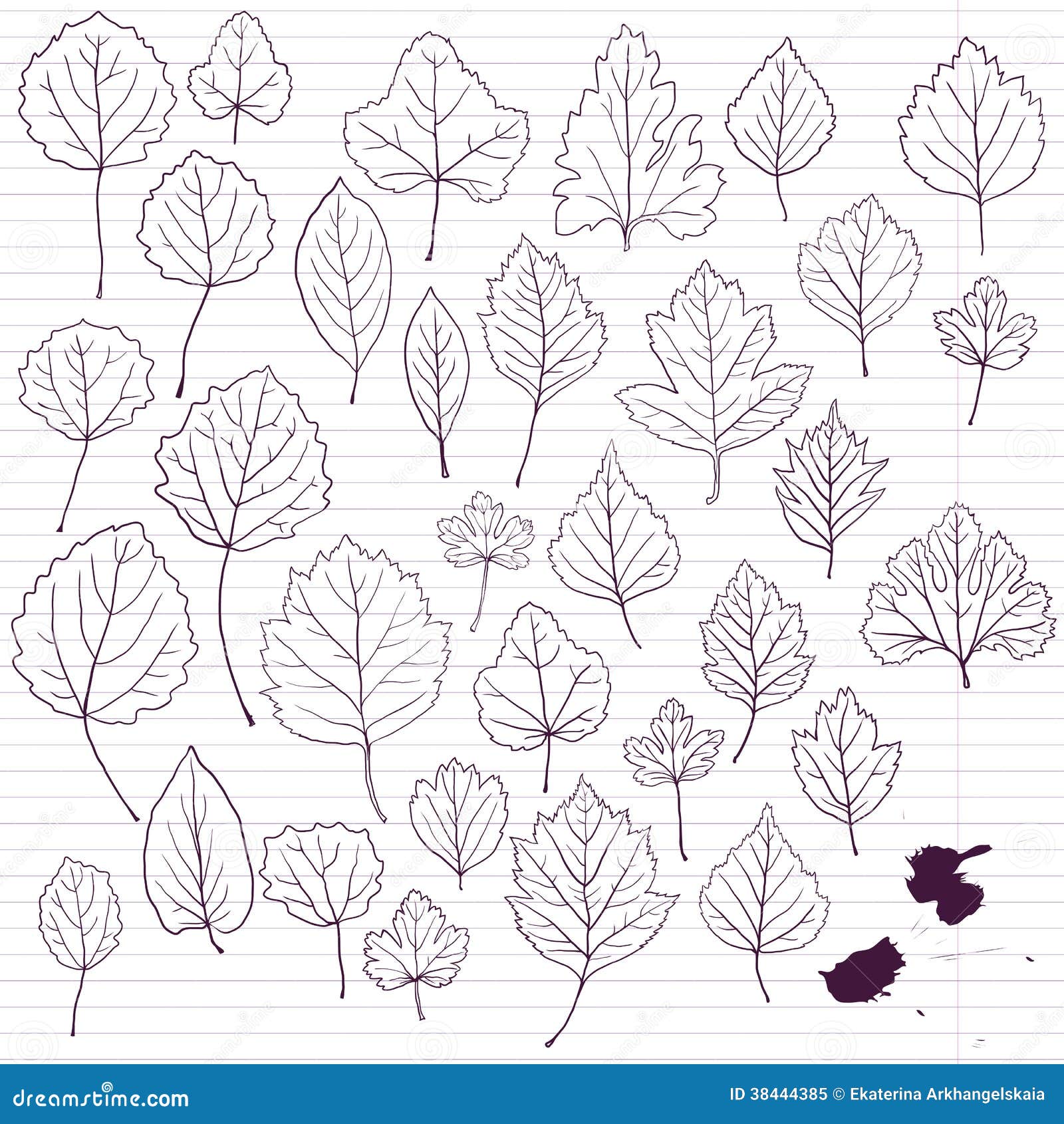 Set of Linear Drawing Leaves at Lined Paper Stock Vector - Illustration ...