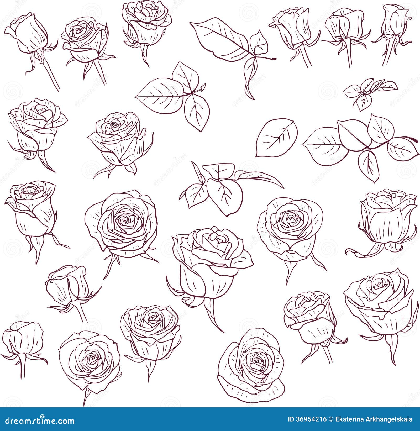Set of Linear Drawing Roses Stock Vector - Illustration of floral ...