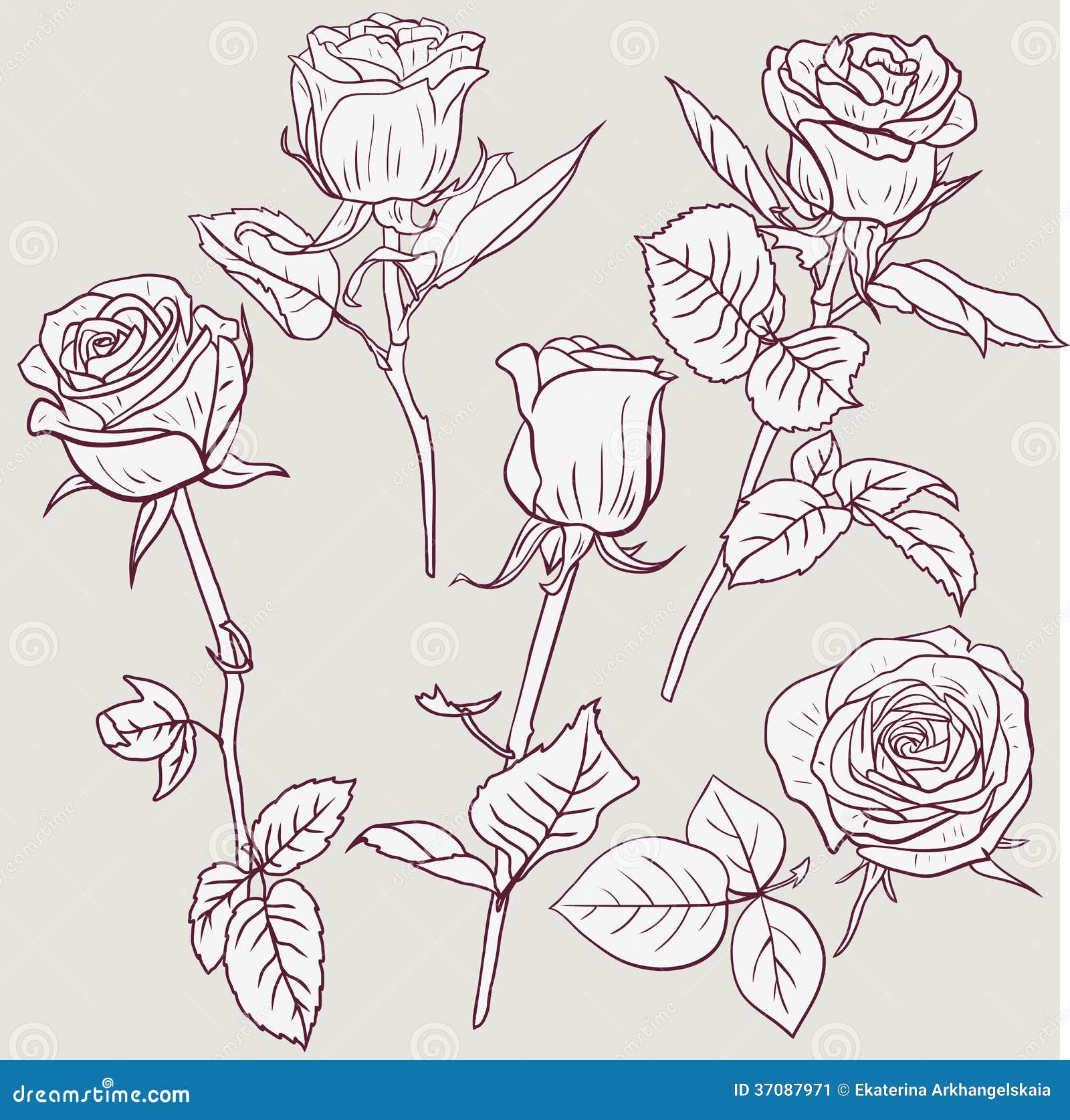 Set of Linear Drawing Roses Stock Vector - Illustration of sketch ...
