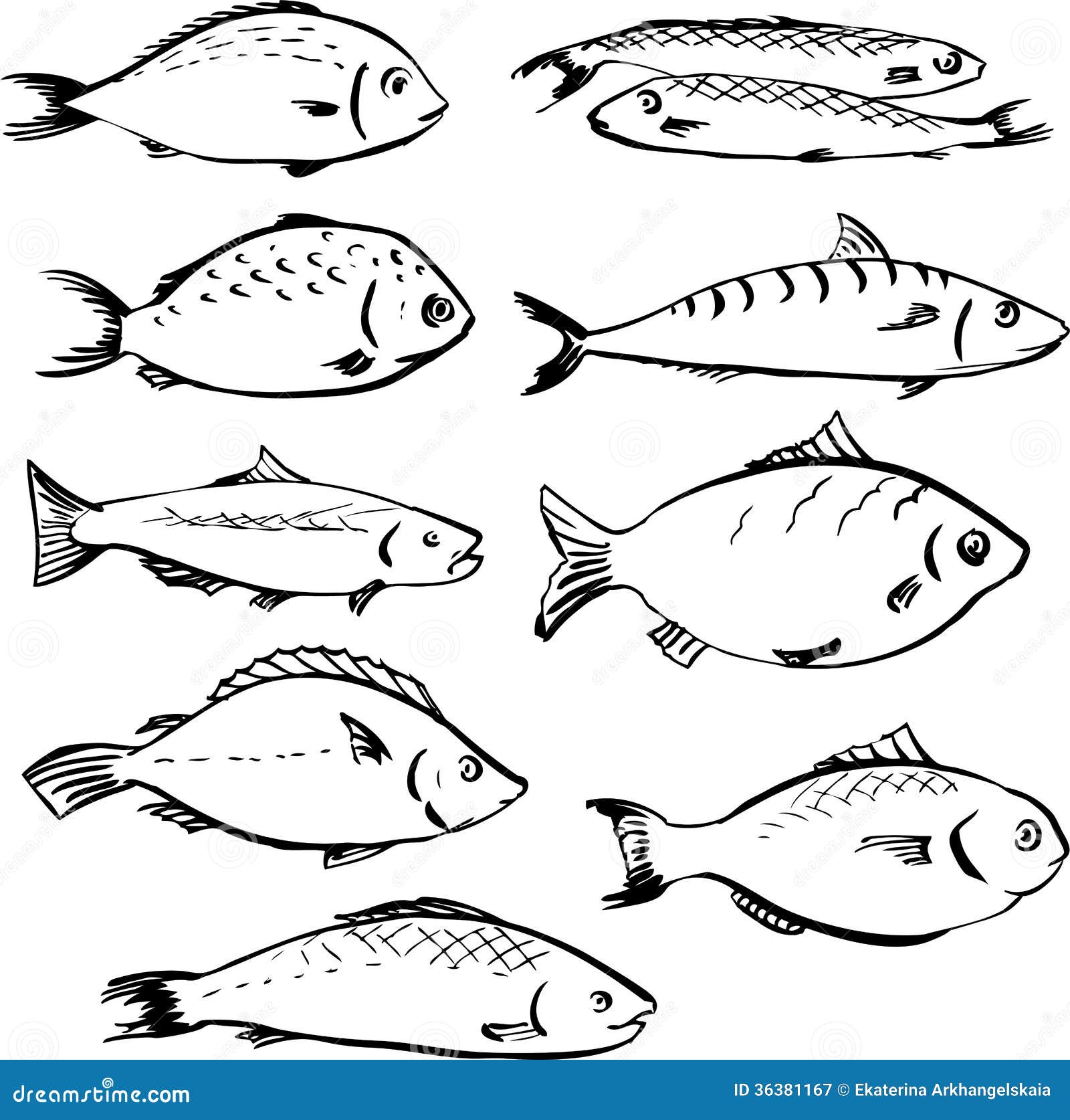 Set liniowe rysunek ryba ilustracja wektor. Ilustracja złożonej z ...