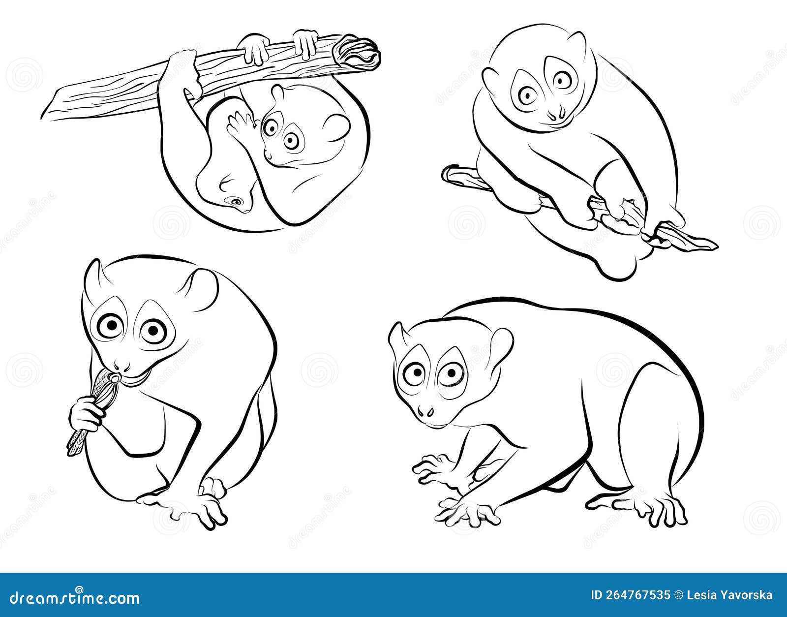 Set Loris Funny Outline Vector Element Stock Vector - Illustration of ...