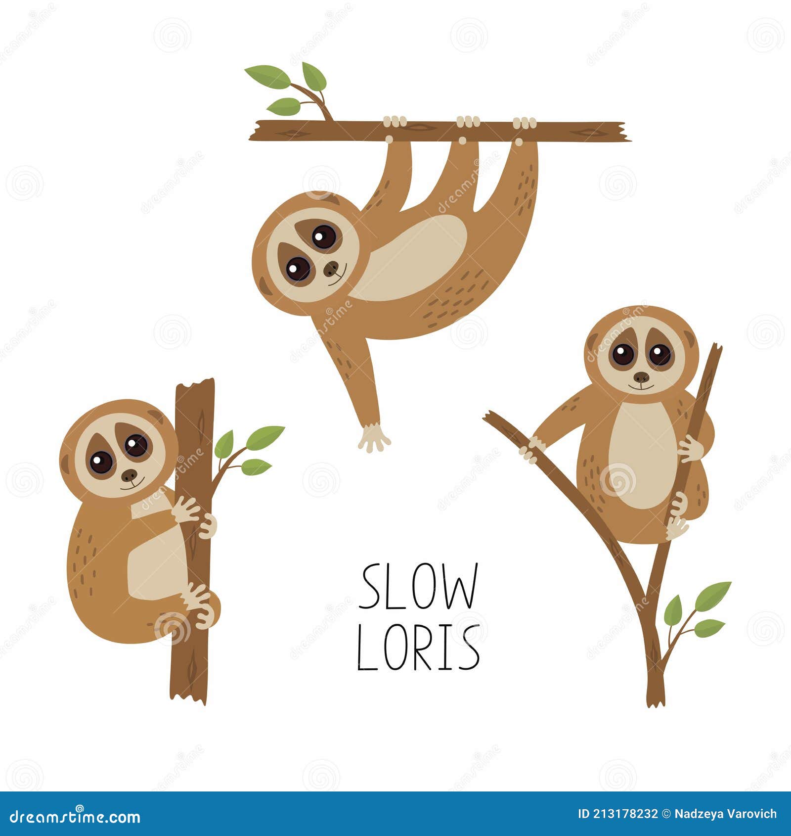Set Of Loris On Tree Branches. Cute Lorises Vector Illustration ...